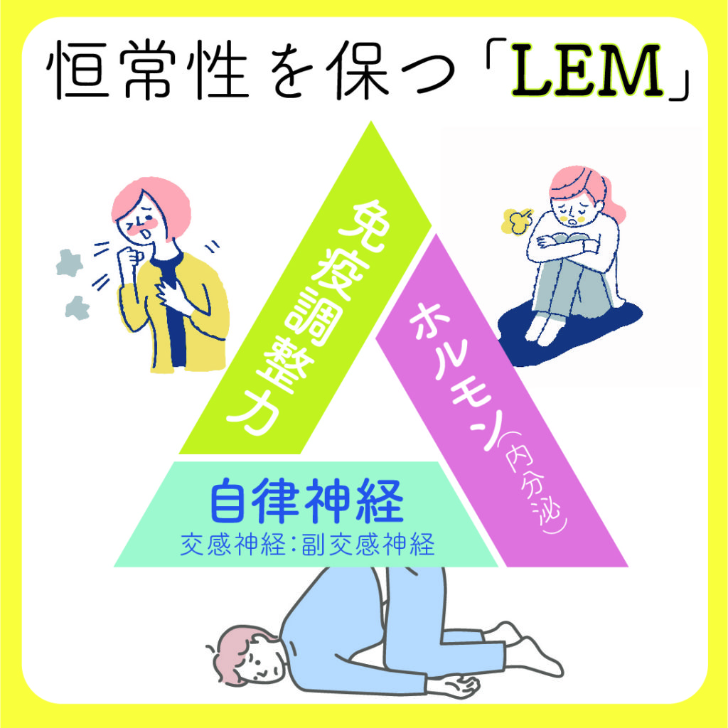 恒常性を保つ「LEM」 | 沖縄市の漢方専門店 SIMPLE LIFE（シンプルライフ）| 漢方・不妊・ファスティング・薬膳茶