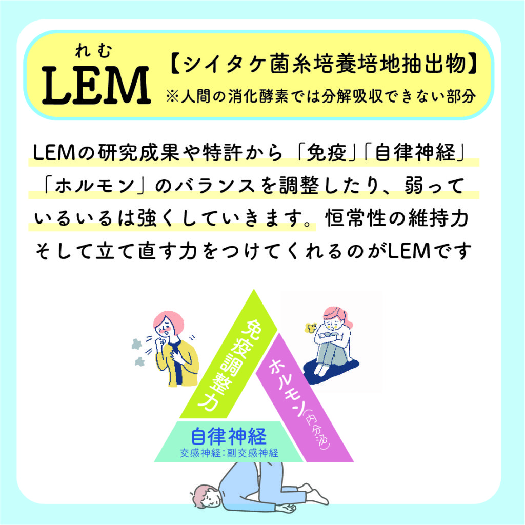 恒常性を保つ「LEM」 | 沖縄市の漢方専門店 SIMPLE LIFE（シンプルライフ）| 漢方・不妊・ファスティング・薬膳茶